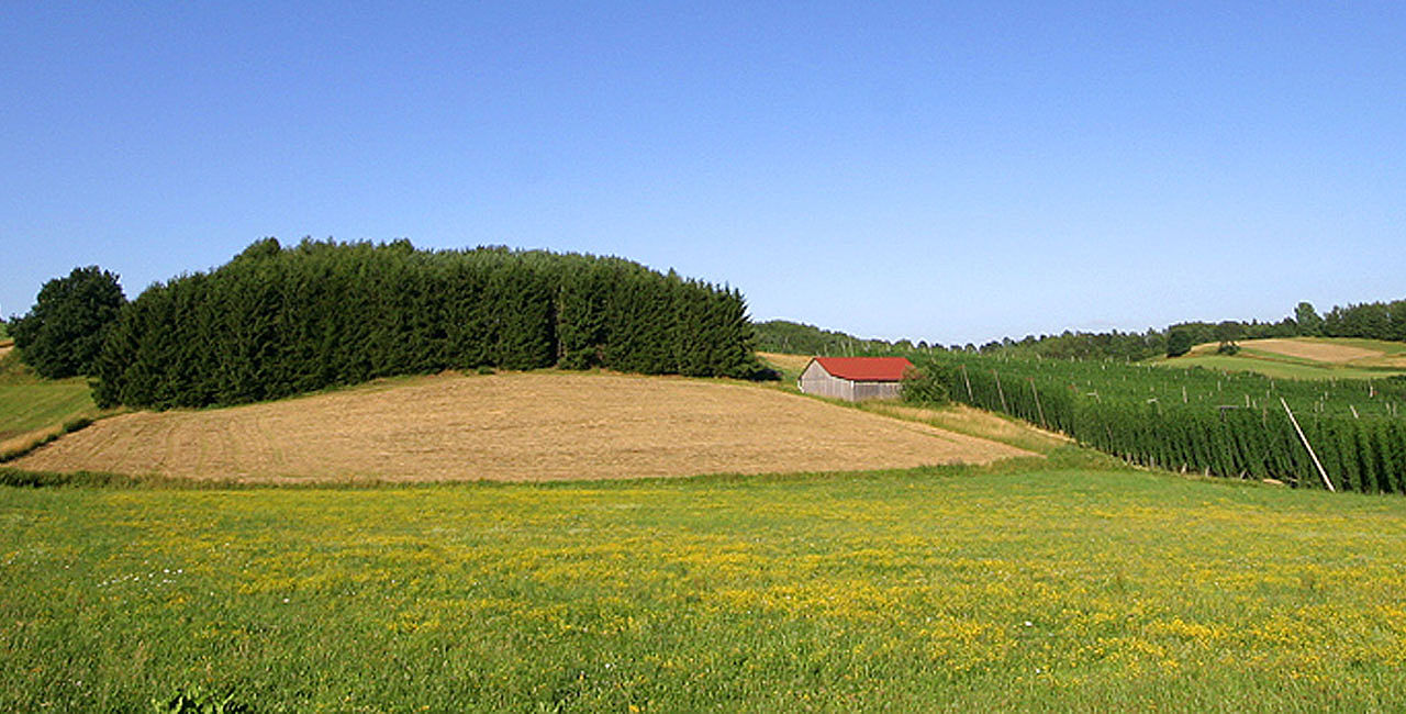 Lage - Anreise - Biohotel Hörger - Kranzberg - München